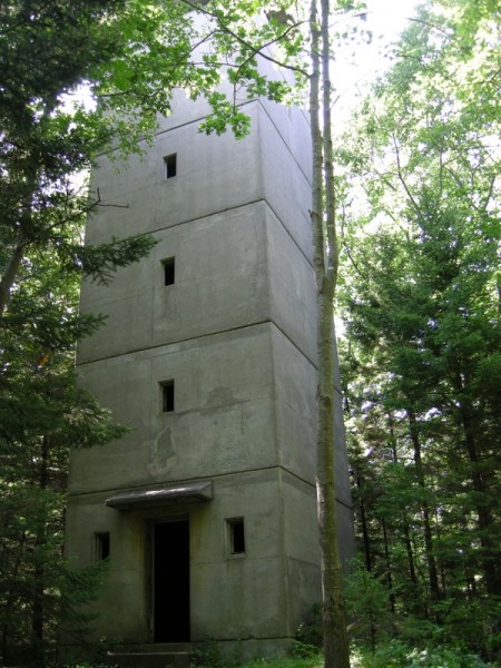 A Tour of Cushings Island, Maine | CAROLYN'S SHADE GARDENS