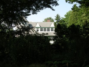 A Tour of Cushings Island, Maine | CAROLYN'S SHADE GARDENS