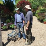 June | 2016 | CAROLYN'S SHADE GARDENS