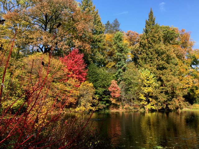 Native Fall Color at Longwood Gardens | CAROLYN'S SHADE GARDENS