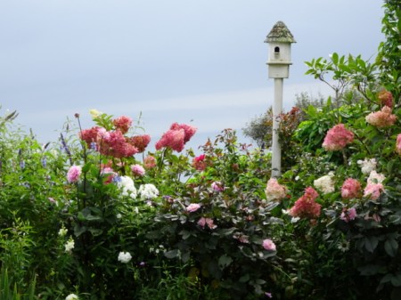 Gardens in Sconset on Nantucket Island | CAROLYN'S SHADE GARDENS